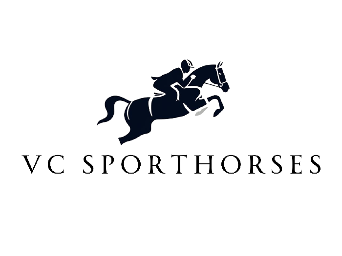 VC Consulting and Sporthorses